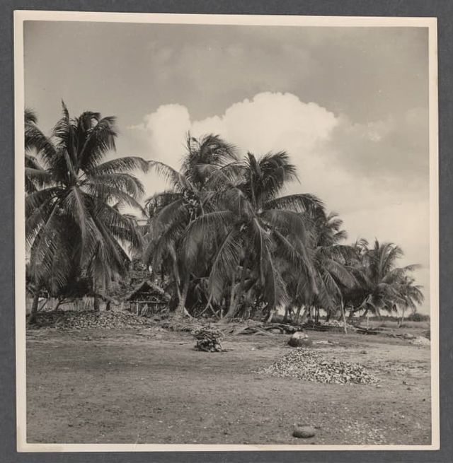 p. 1 recto